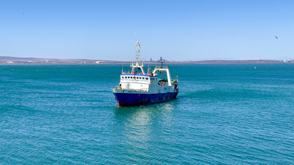 Home - Sea Harvest Group
